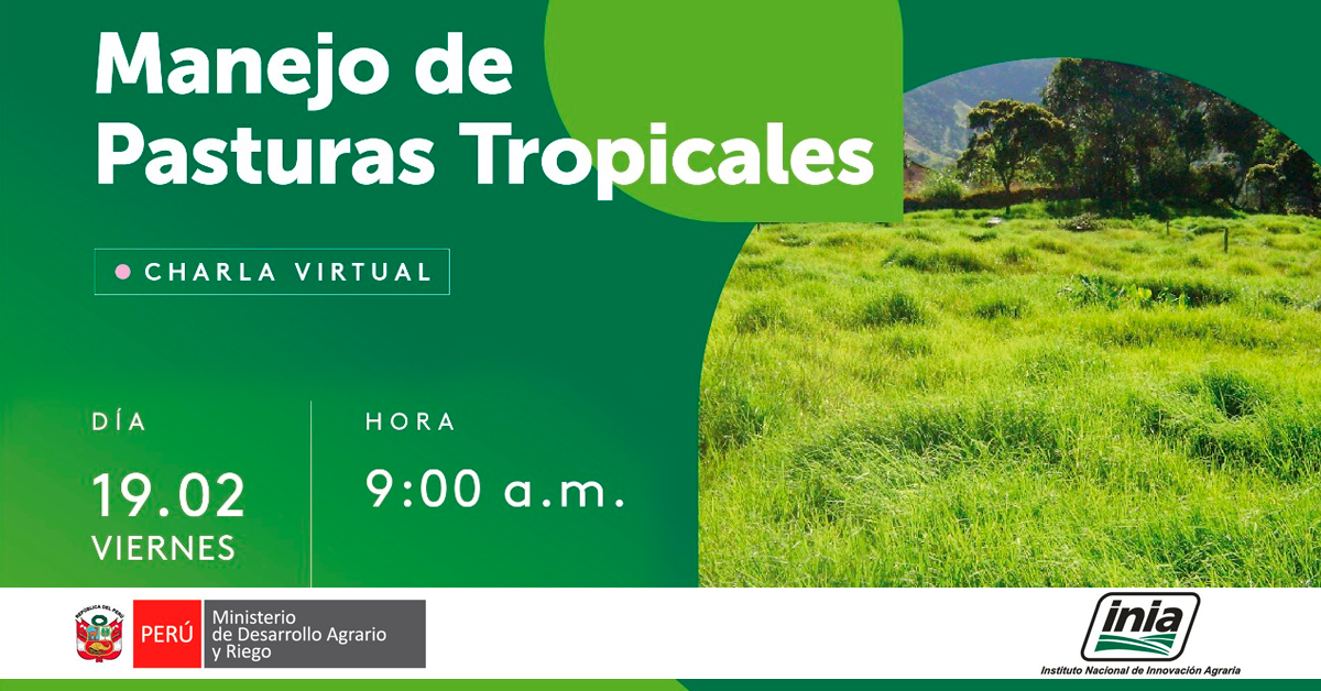 (Charla Técnica Virtual) INIA: Manejo de Pasturas Tropicales