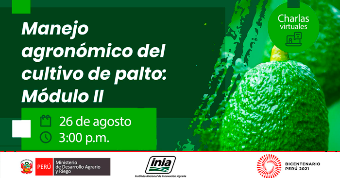(Charla Virtual Gratuita) INIA: Manejo agronómico del cultivo de palto: Módulo II