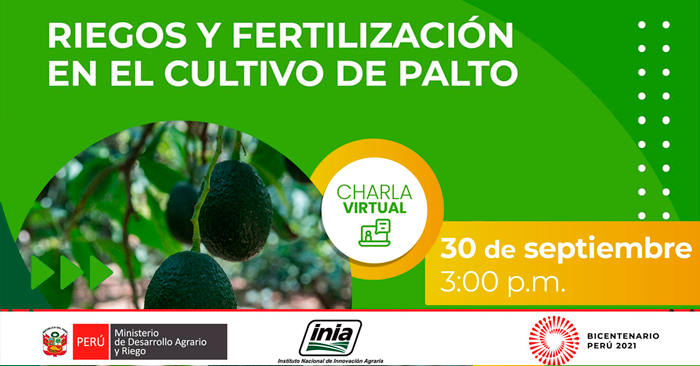 (Charla Virtual Gratuita) INIA: Riegos y fertilización en el cultivo de Palto