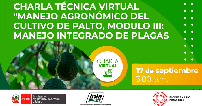 (Charla Técnica Gratuita) INIA: Manejo integrado de plagas en el cultivo de Palto