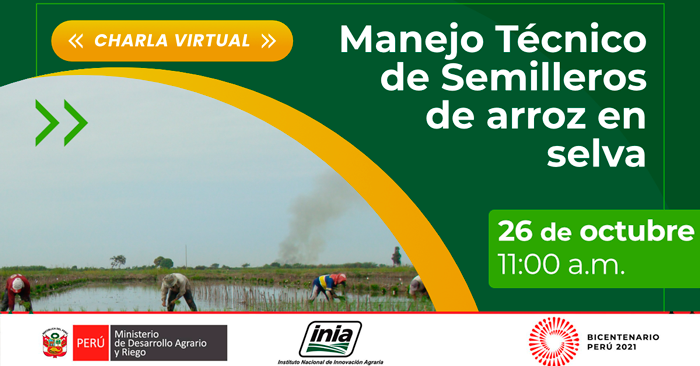 (Charla Virtual Gratuita) INIA: Manejo Técnico de Semilleros de arroz en selva