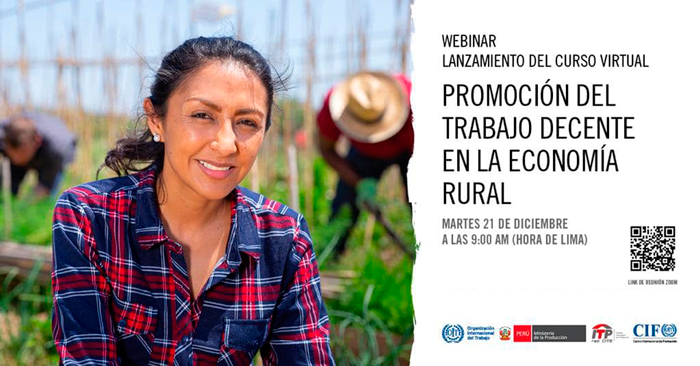 Webinar acerca del lanzamiento del curso virtual Promoción del trabajo ...