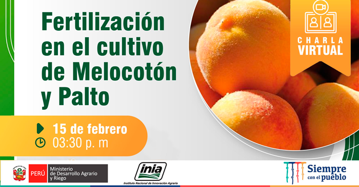 (Charla Virtual Gratuita) INIA: Fertilización en el cultivo de melocotón y palto