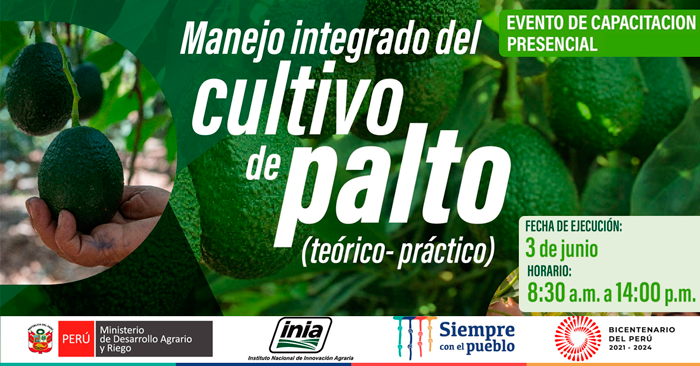 (Capacitación Presencial Gratuita) INIA: Manejo integrado del cultivo de palto