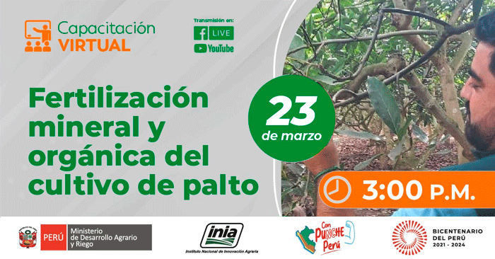 Capacitación virtual gratuita acerca de la Fertilización Mineral y Orgánica del cultivo del palto