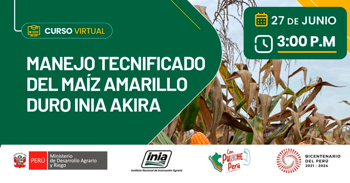 Curso online "Manejo Tecnificado del Maíz Amarillo Duro INIA AKIRA ...
