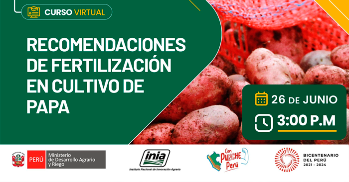 Curso online "Recomendaciones de fertilización en cultivo de papa" del INIA