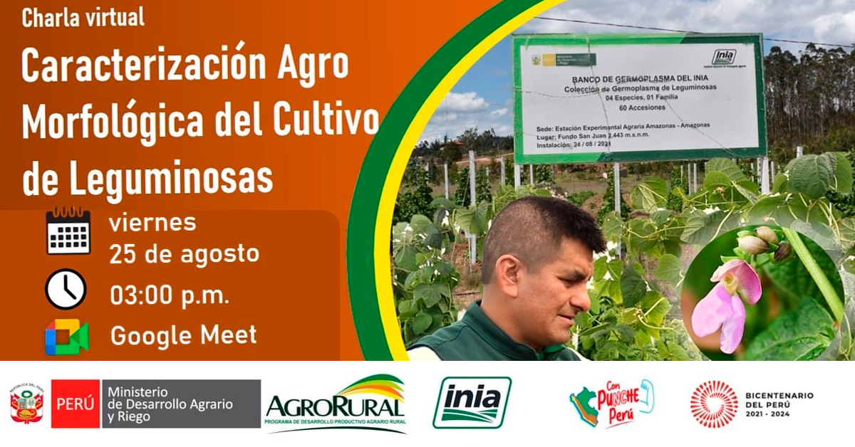 Charla online "Caracterización Agro Morfológica del Cultivo de Leguminosas Andinas" de Agro Rural