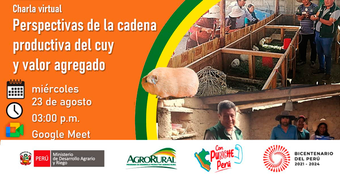 Charla online "Perspectivas de la cadena productiva del cuy y valor agregado" de Agro Rural