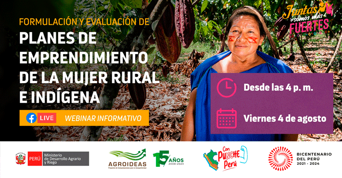 Webinar online Formulacion y evaluacion de planes de emprendimiento de ...