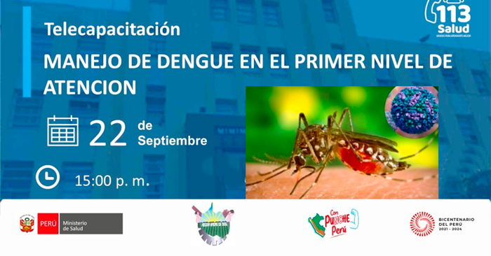 Capacitación online "Manejo del dengue en el primer nivel de atención ...