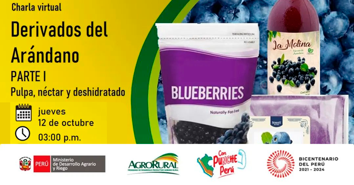 Charla virtual "Derivados del Arándano Parte I" de Agro Rural