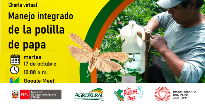 Charla virtual "Manejo integrado de la polilla de la papa" de Agro Rural