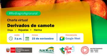 (Webinar) PROMPERÚ: Fichas técnicas comerciales para la exportación de confecciones