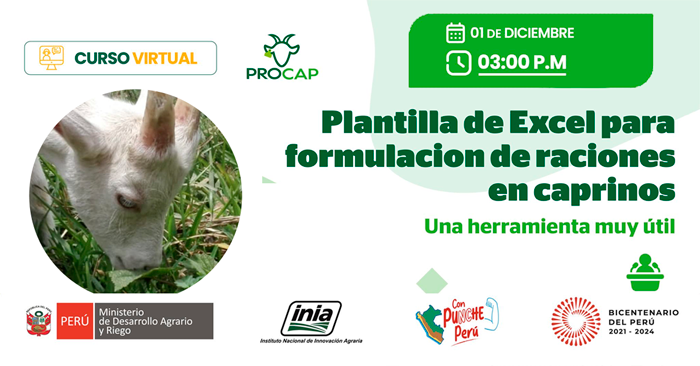 Curso online "Plantilla de Excel para formulación de raciones en ...