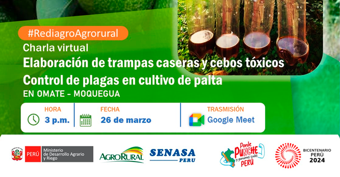 Charla online Elaboración de trampas caseras y cebos tóxicos para el control de plagas y ...