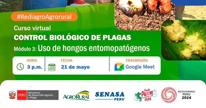 Curso online gratis "Control biológico de plagas: Uso de hongos ...