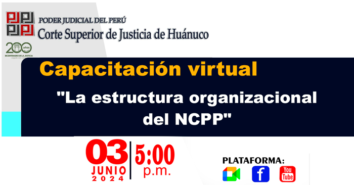 Capacitación online "La estructura organizacional del NCPP" de la Corte ...