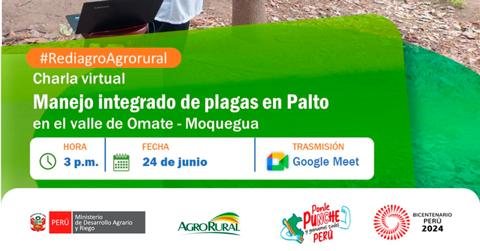 Charla online "Manejo integrado de plagas en Palto en el valle de Omate" de Agro Rural