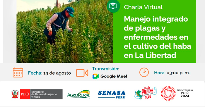 Charla online gratis"Manejo integrado de plagas y enfermedades en el cultivo del haba en La ...