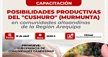 CAPACITACIONES GRATUITAS 2025 EN PERU